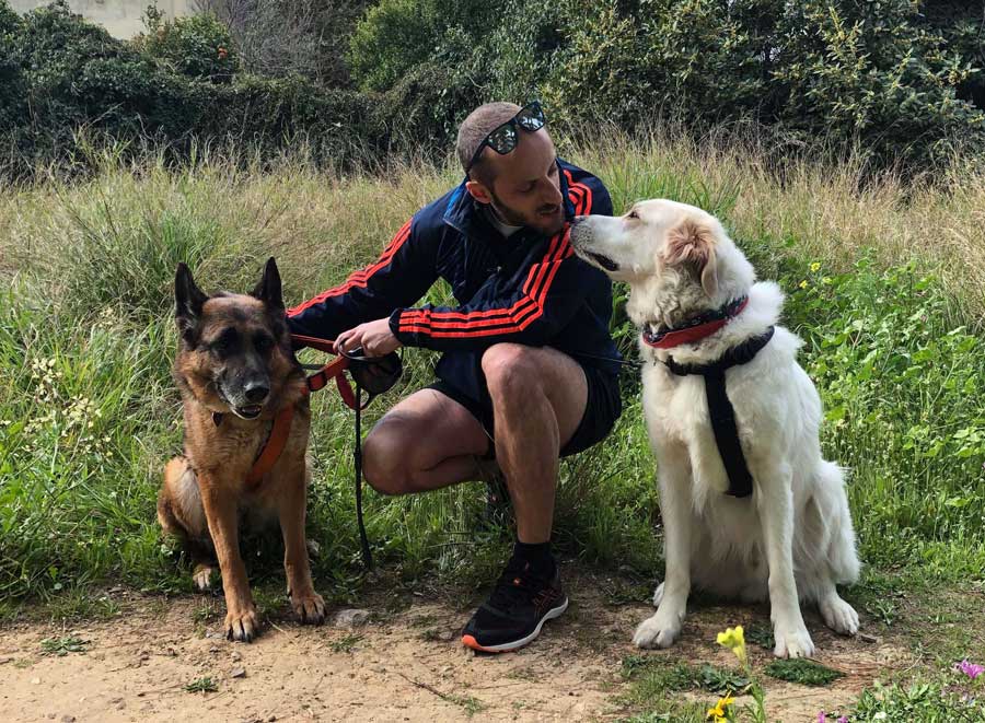 Kάθε χιλιόμετρο μια βοήθεια για τα αδέσποτα ζώα | ratses.gr